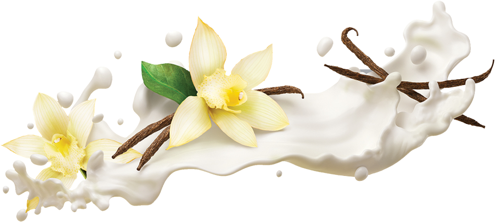 helbon.co.il – מוצרי SE WHEY מובילים ו- Helbon.co.il כובשים את סניפי ...