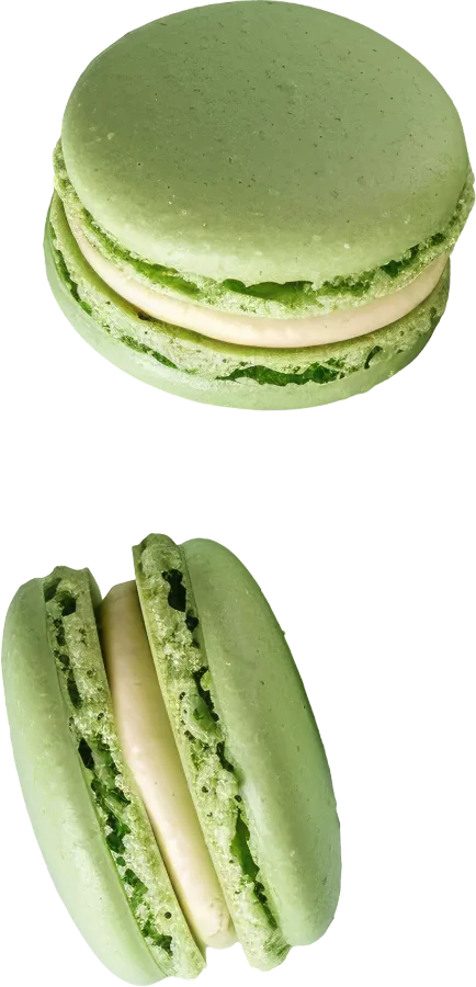 helbon.co.il – מוצרי SE WHEY מובילים ו- Helbon.co.il כובשים את סניפי ...