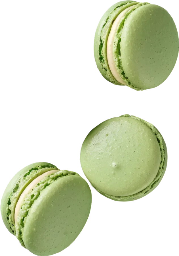 helbon.co.il – מוצרי SE WHEY מובילים ו- Helbon.co.il כובשים את סניפי ...